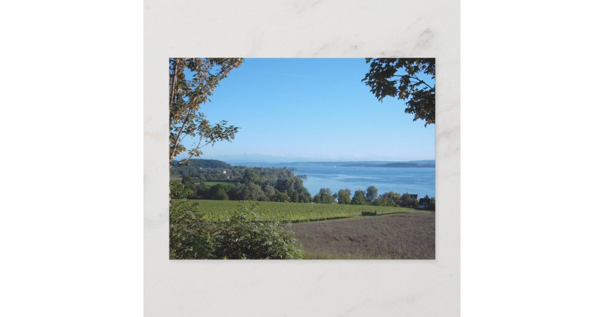 Panoramic View over Lake Constance Postcard | Zazzle