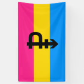 Pansexual Pride Flag Banner | Zazzle