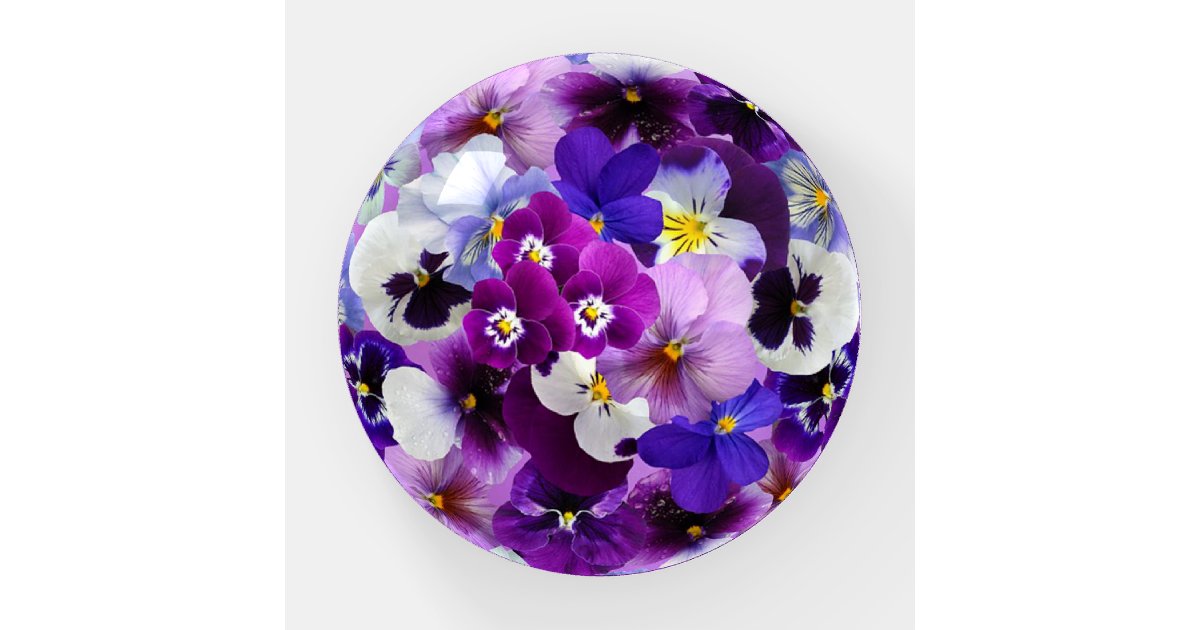 Pansies Round Paperweight | Zazzle