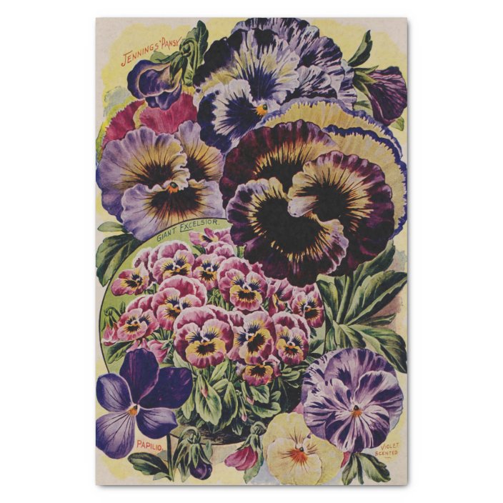 Pansy Antique Varieties Garden Tissue Paper | Zazzle.com