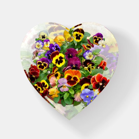 Pansy Display Paperweight | Zazzle.com