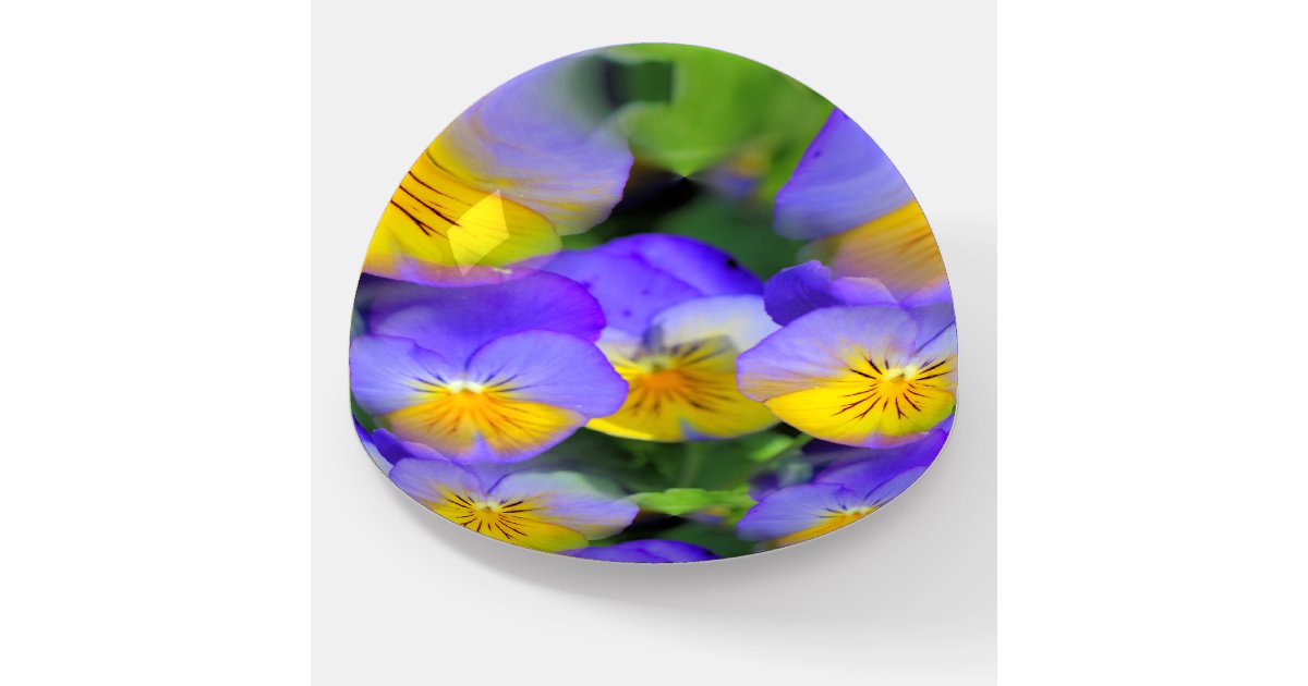 Pansy echos paperweight | Zazzle