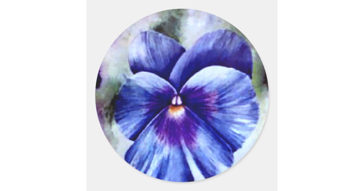 Pansy Stickers | Zazzle