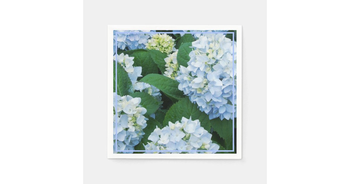 Paper Napkins-Blue Hydrangeas Napkins | Zazzle