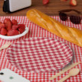 Paper Plates - Red Gingham Pattern | Zazzle