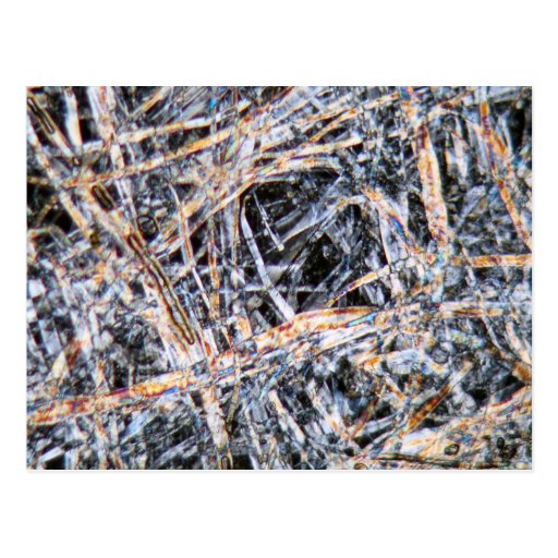 Paper under the microscope postcard | Zazzle