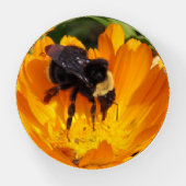 Paper Weight - Bumble Bee | Zazzle