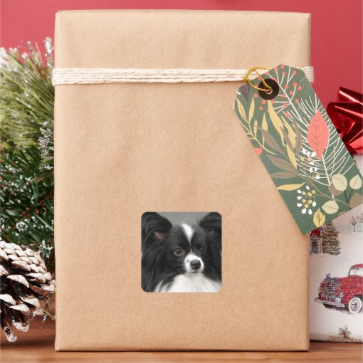 Papillon Dog Stickers | Zazzle