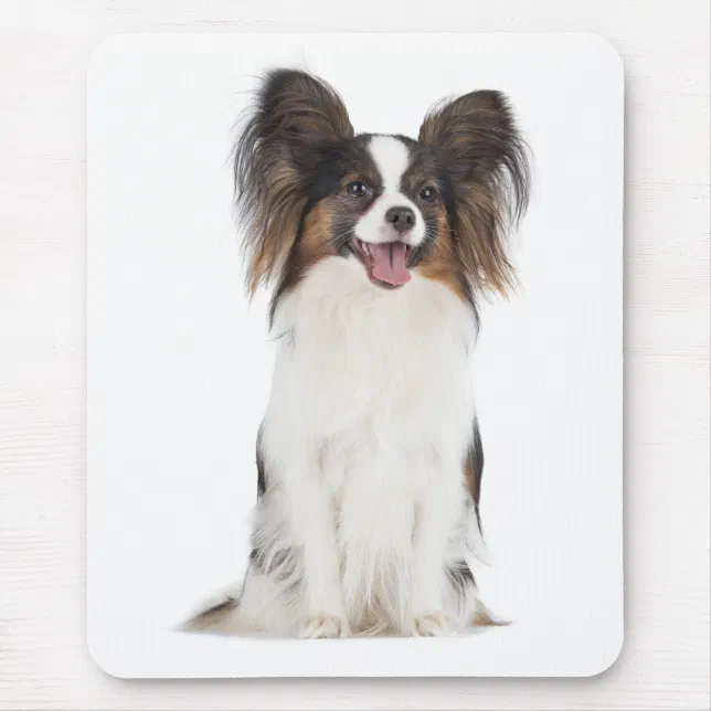 Papillon Puppy Mom Dog Lover Puppies Fur Mama Mouse Pad | Zazzle