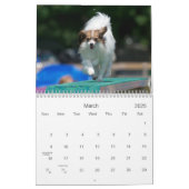 Papillons Agility Wall Calendar | Zazzle