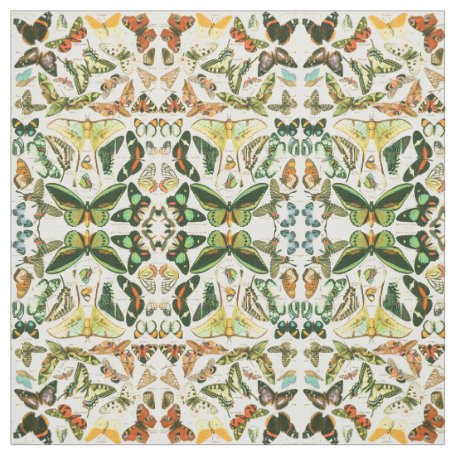 I Love my Papillon Fabric | Zazzle