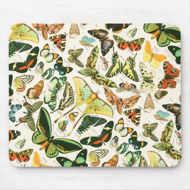 Papillons Mouse Pad | Zazzle