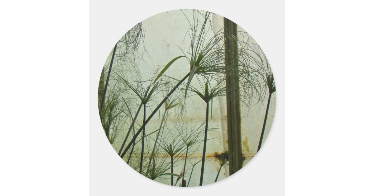 Papyrus Classic Round Sticker | Zazzle