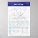 Parabola - Math Poster | Zazzle