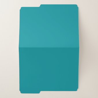 Paradingly Posh Teal Color File Folder | Zazzle