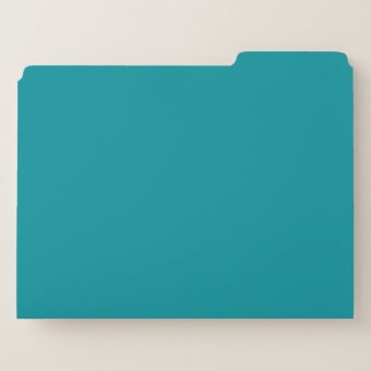 Paradingly Posh Teal Color File Folder | Zazzle