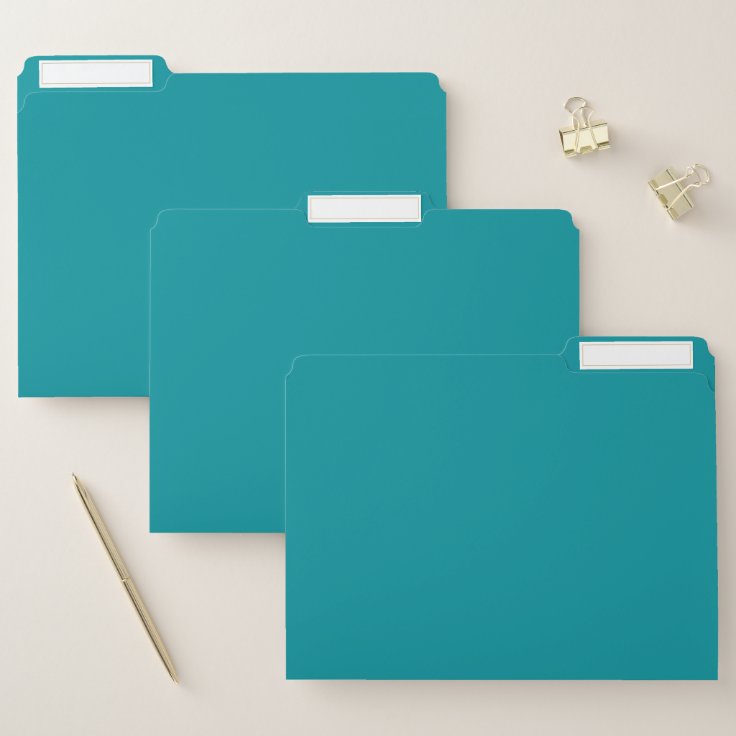 Paradingly Posh Teal Color File Folder | Zazzle