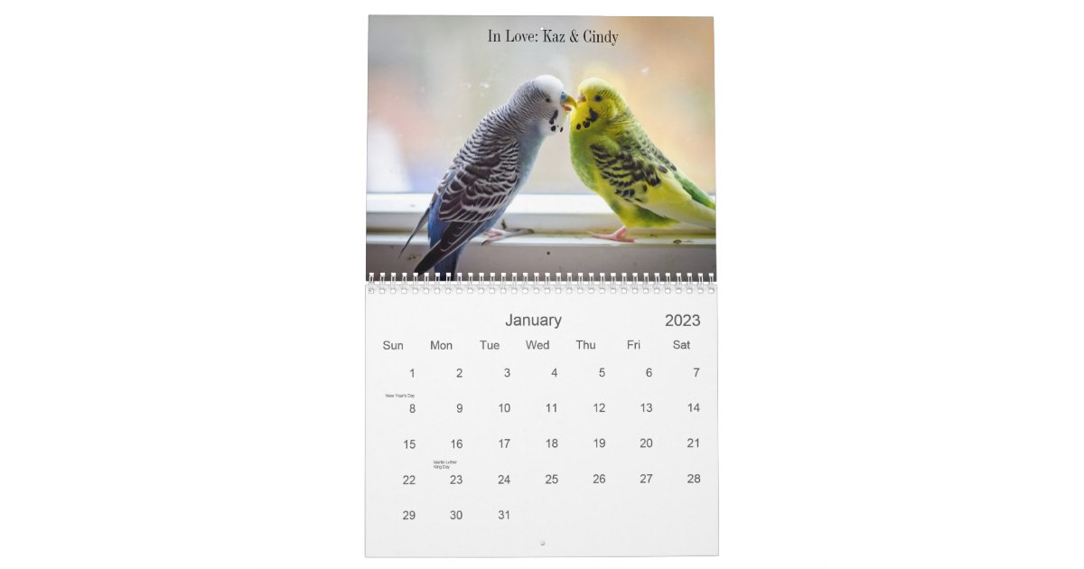 Parakeet calendar | Zazzle
