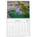 Parakeet calendar | Zazzle