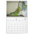 Parakeet calendar | Zazzle