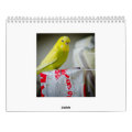 Parakeet calendar | Zazzle