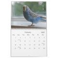 Parakeet calendar | Zazzle
