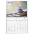 Parakeet calendar | Zazzle