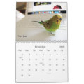 Parakeet calendar | Zazzle