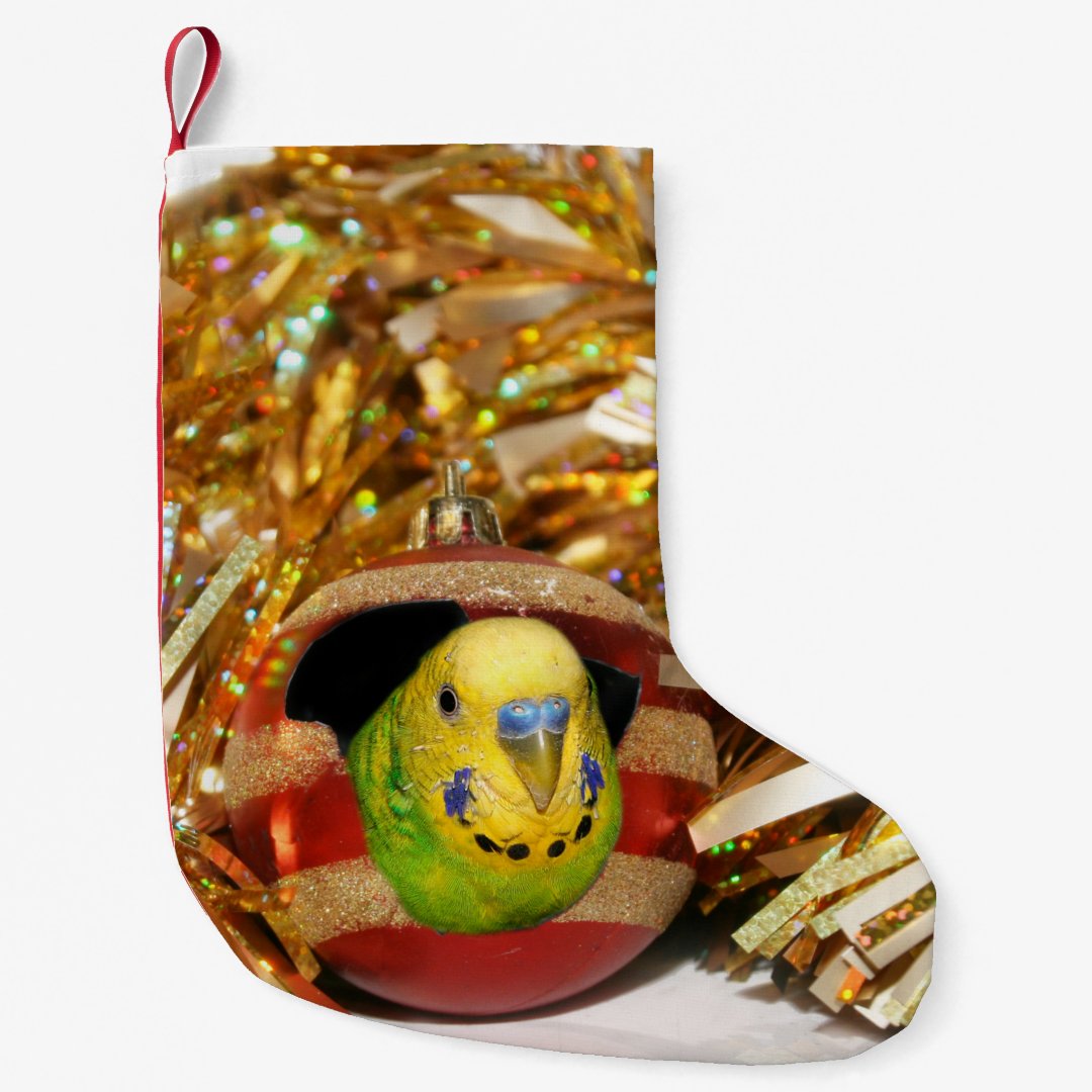 Parakeet Christmas Small Christmas Stocking | Zazzle