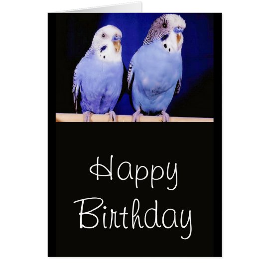 Parakeets (Budgies) Happy Birthday Greeting Card | Zazzle.com