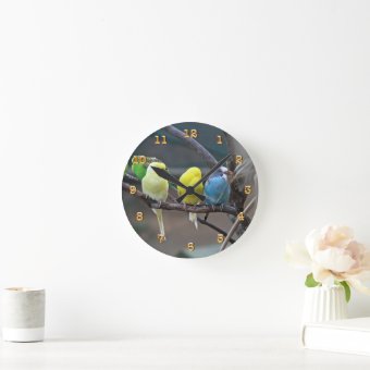 Parakeets Budgies Parrots | Birds Photo Nature Round Clock | Zazzle