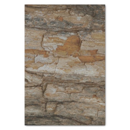 Park Bark Tissue Paper | Zazzle