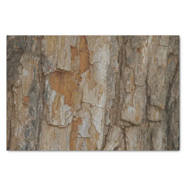 Park Bark Tissue Paper | Zazzle