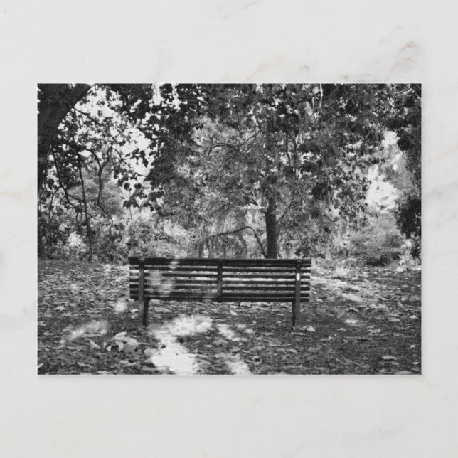 Park bench postcard | Zazzle