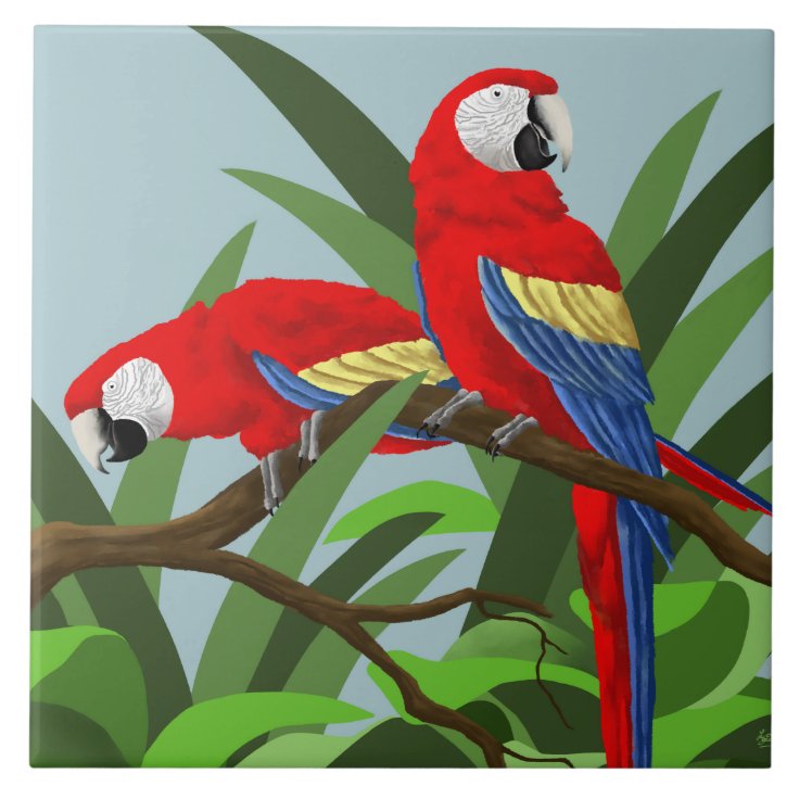 Parrot Art Tiles | Zazzle