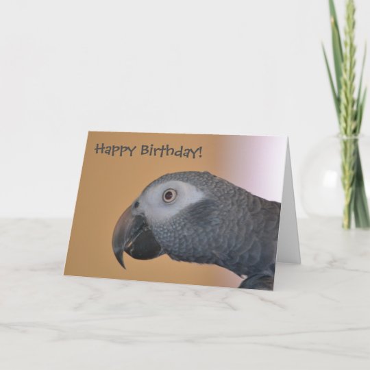 Parrot Birthday Card | Zazzle.com