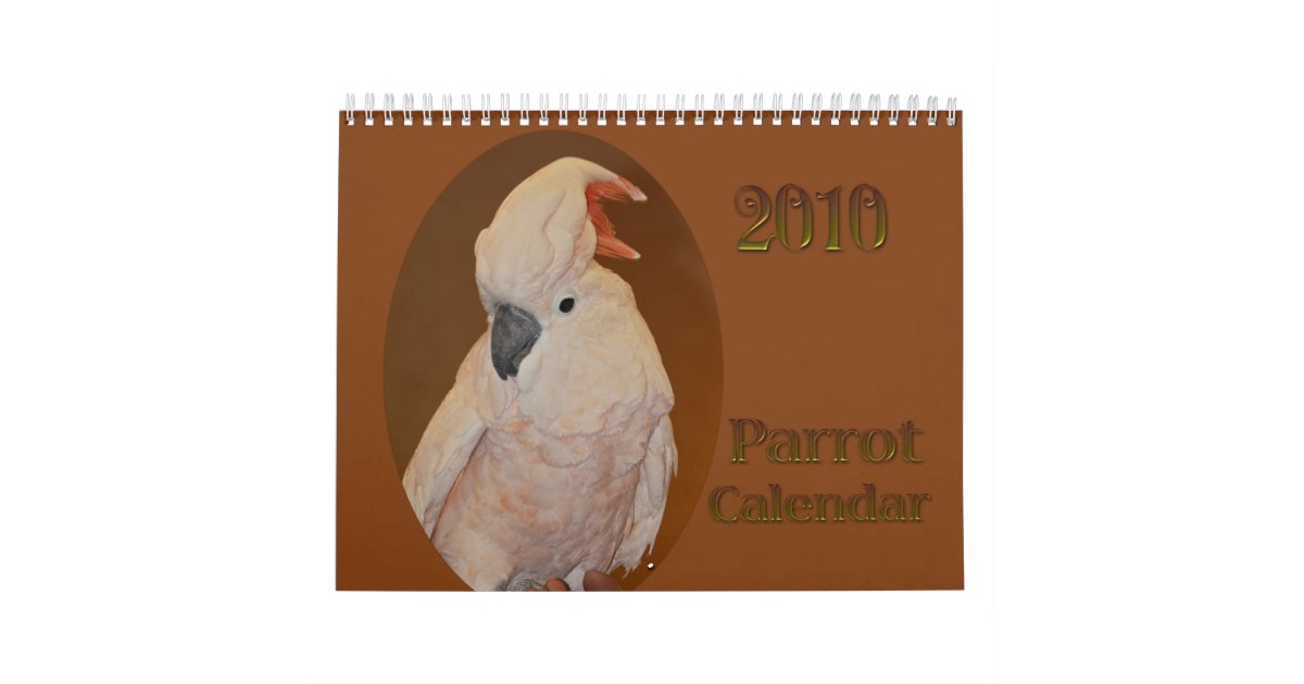 Parrot Calendar 2010 | Zazzle