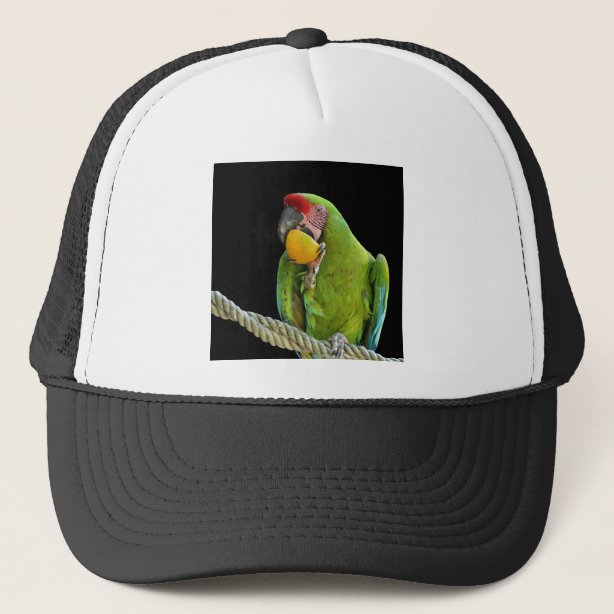 Parrots Hats & Caps | Zazzle