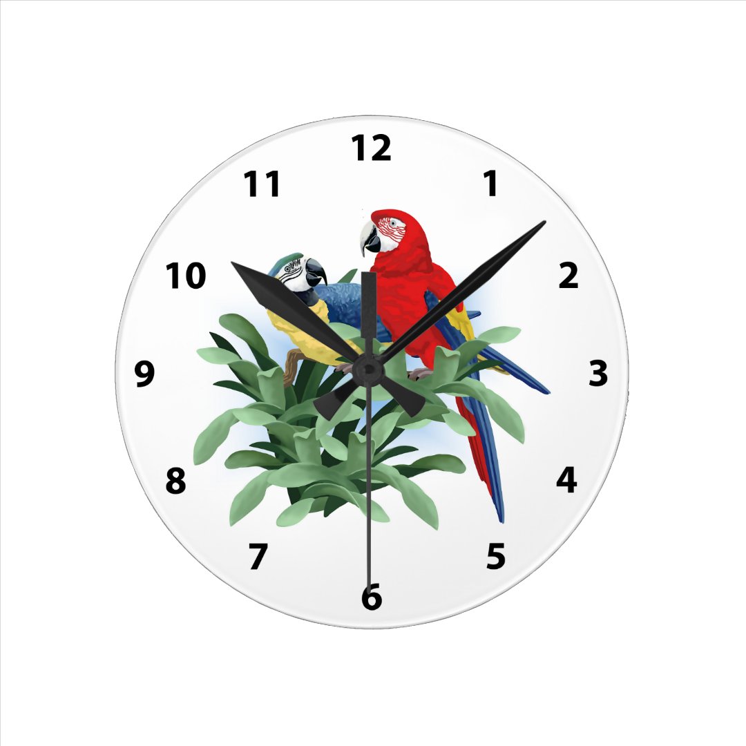 Parrot Clocks | Zazzle
