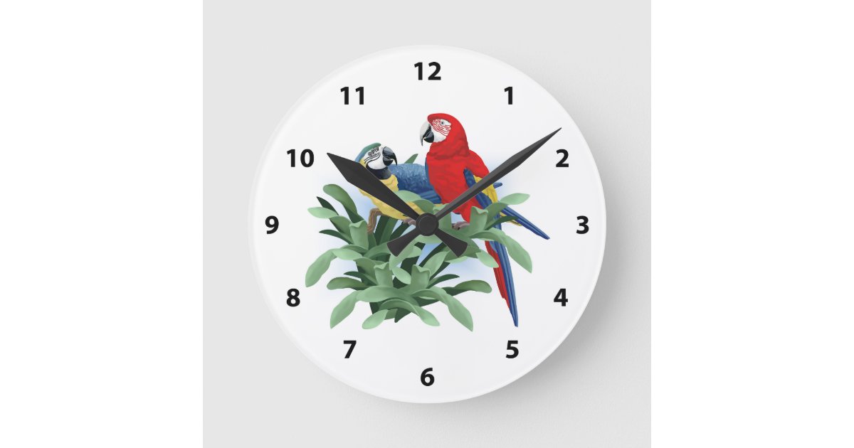 Parrot Clocks | Zazzle