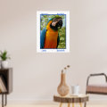 Parrot English, Loro Spanish Poster | Zazzle
