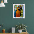 Parrot English, Loro Spanish Poster | Zazzle