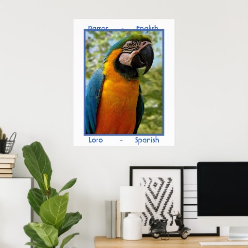 Parrot English, Loro Spanish Poster | Zazzle