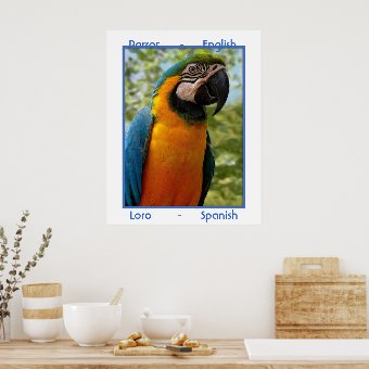 Parrot English, Loro Spanish Poster | Zazzle