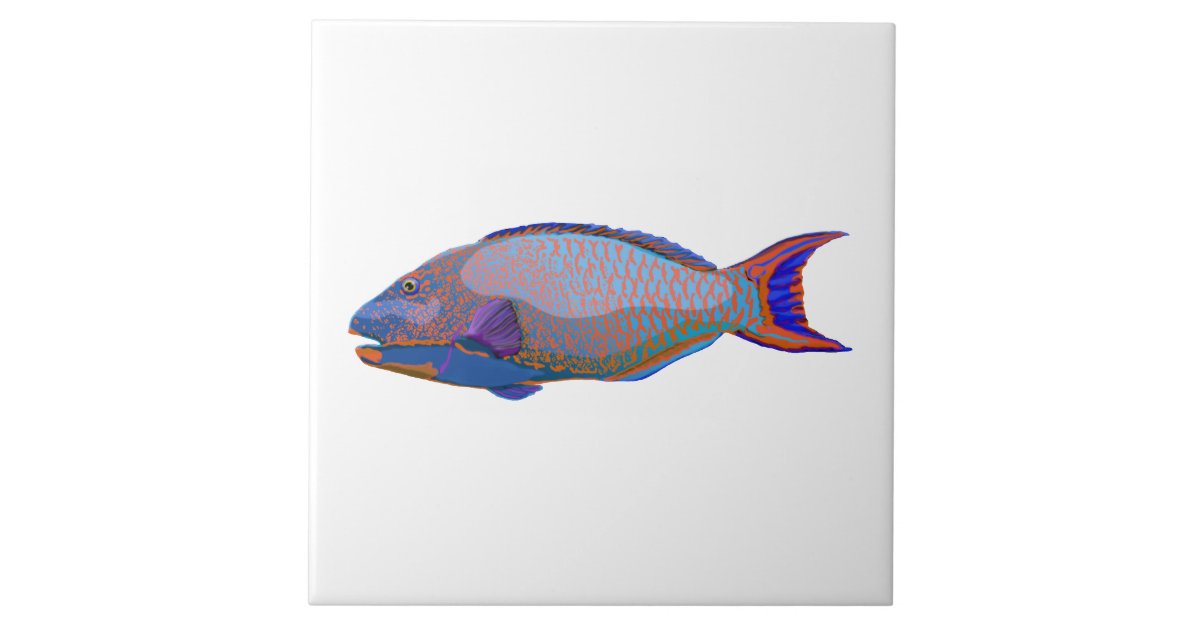 Parrot Fish Ceramic Tile | Zazzle