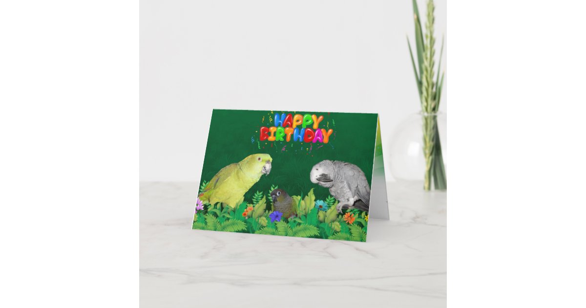 Parrot Happy Birthday Card | Zazzle
