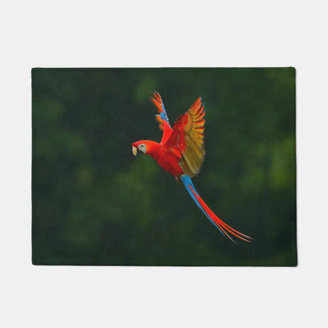 Parrot in Flight Doormat | Zazzle