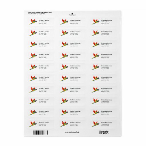 Parrot Label | Zazzle