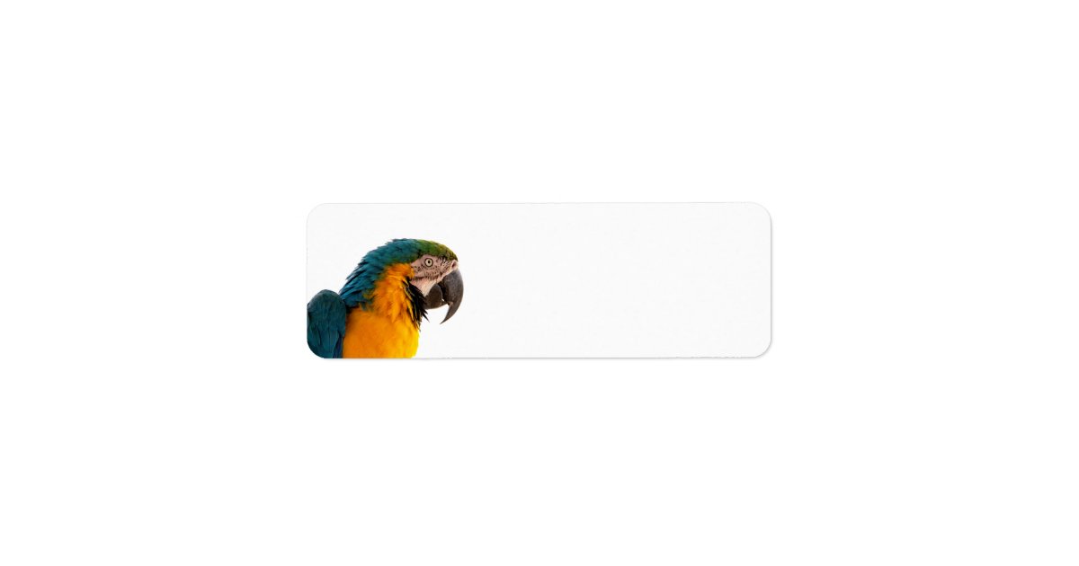 Parrot Label | Zazzle