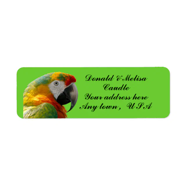 PARROT LABEL | Zazzle